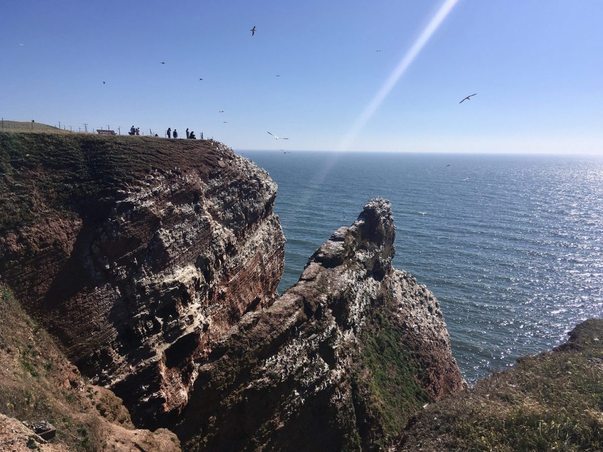 „Dolly Ropes“ im Wattenmeer verbieten – jetzt Petition unterzeichnen! - Deutscher Segler-Verband